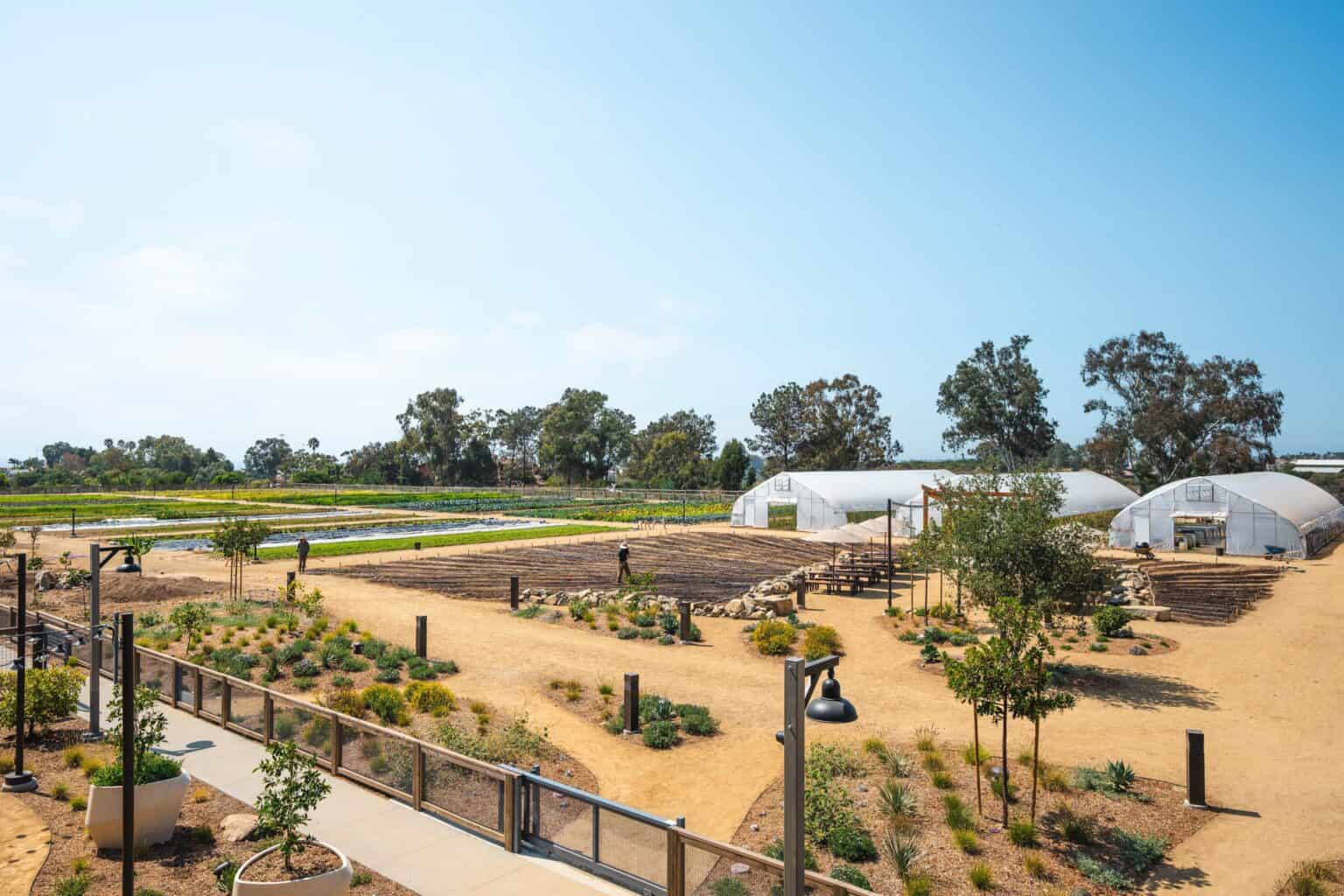 Fox Point Farms - San Diego Architectural Foundation