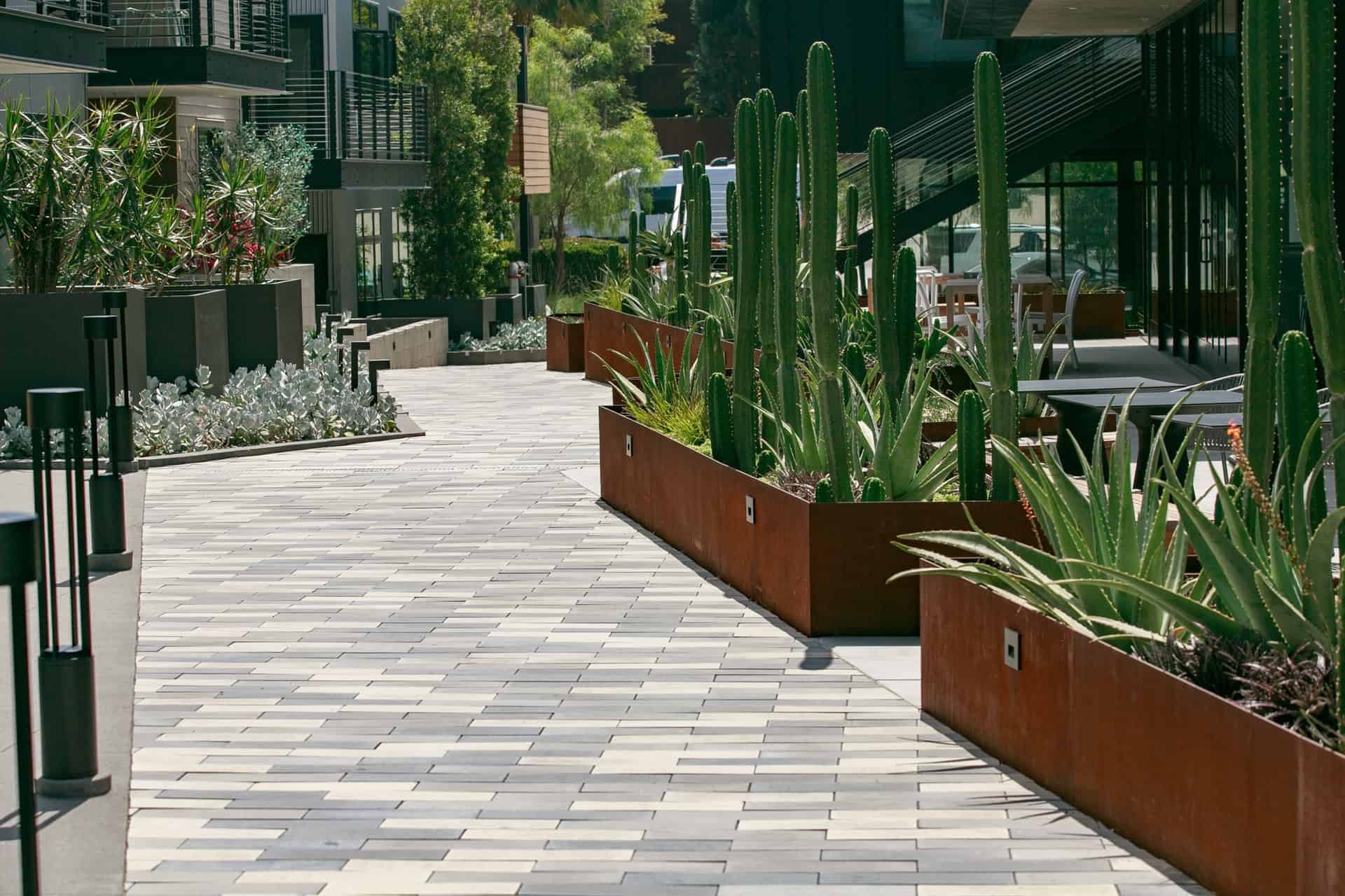 Sandbox Solana - San Diego Architectural Foundation